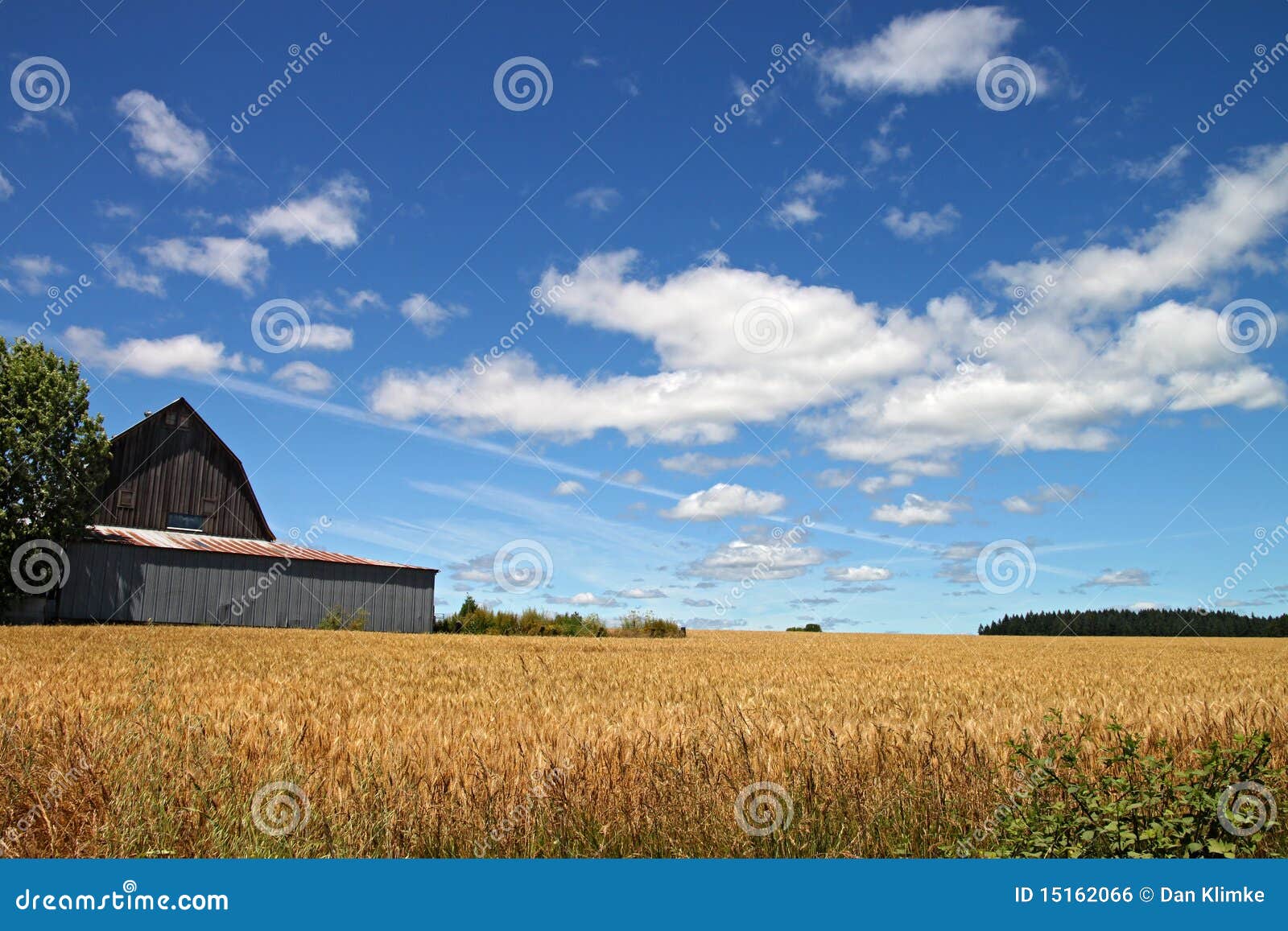 Red Oregon Barn stock photo. Image of structure, weathered - 15162066