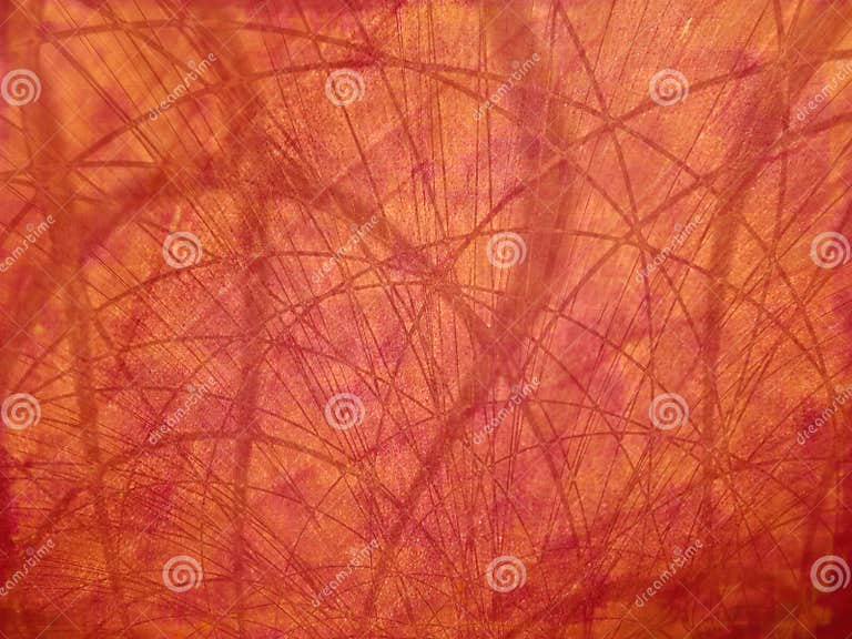 Red Organic Lines Texture stock photo. Image of complex - 1913304