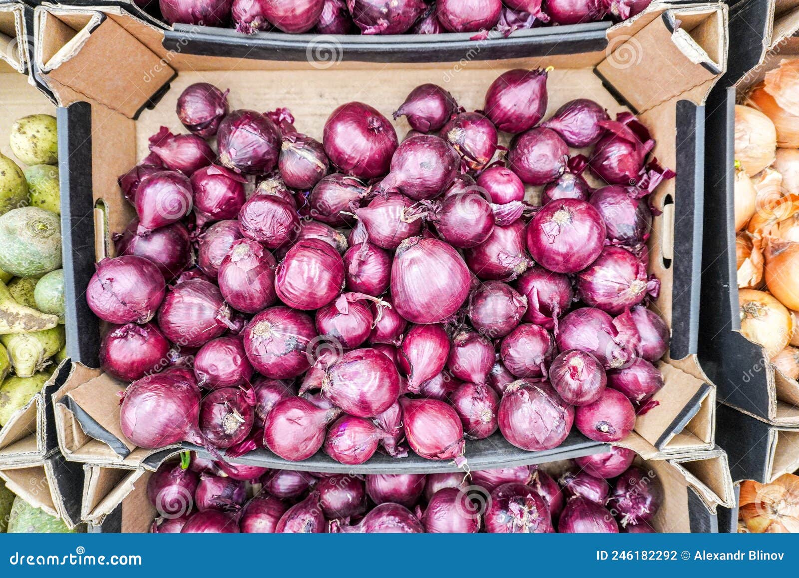 Red Organic Onion in a Cardboard Box Stock Photo - Image of group ...