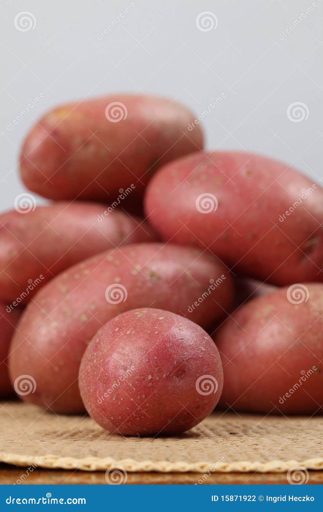 Red organic potatoes stock photo. Image of root, heap - 15871922