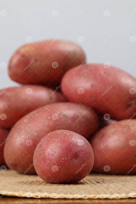 Red organic potatoes stock photo. Image of root, heap - 15871922