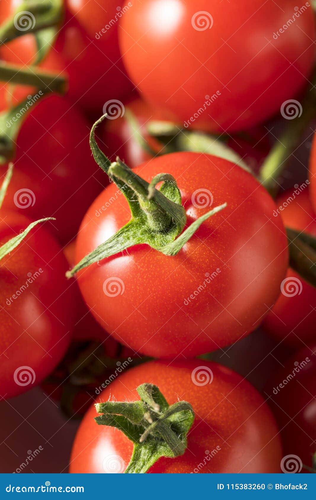 Red Organic Raw Tomatoes stock photo. Image of summer - 115383260