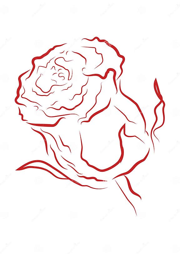 Red Outline Rose with Different Stroke Effects. Stock Vector ...