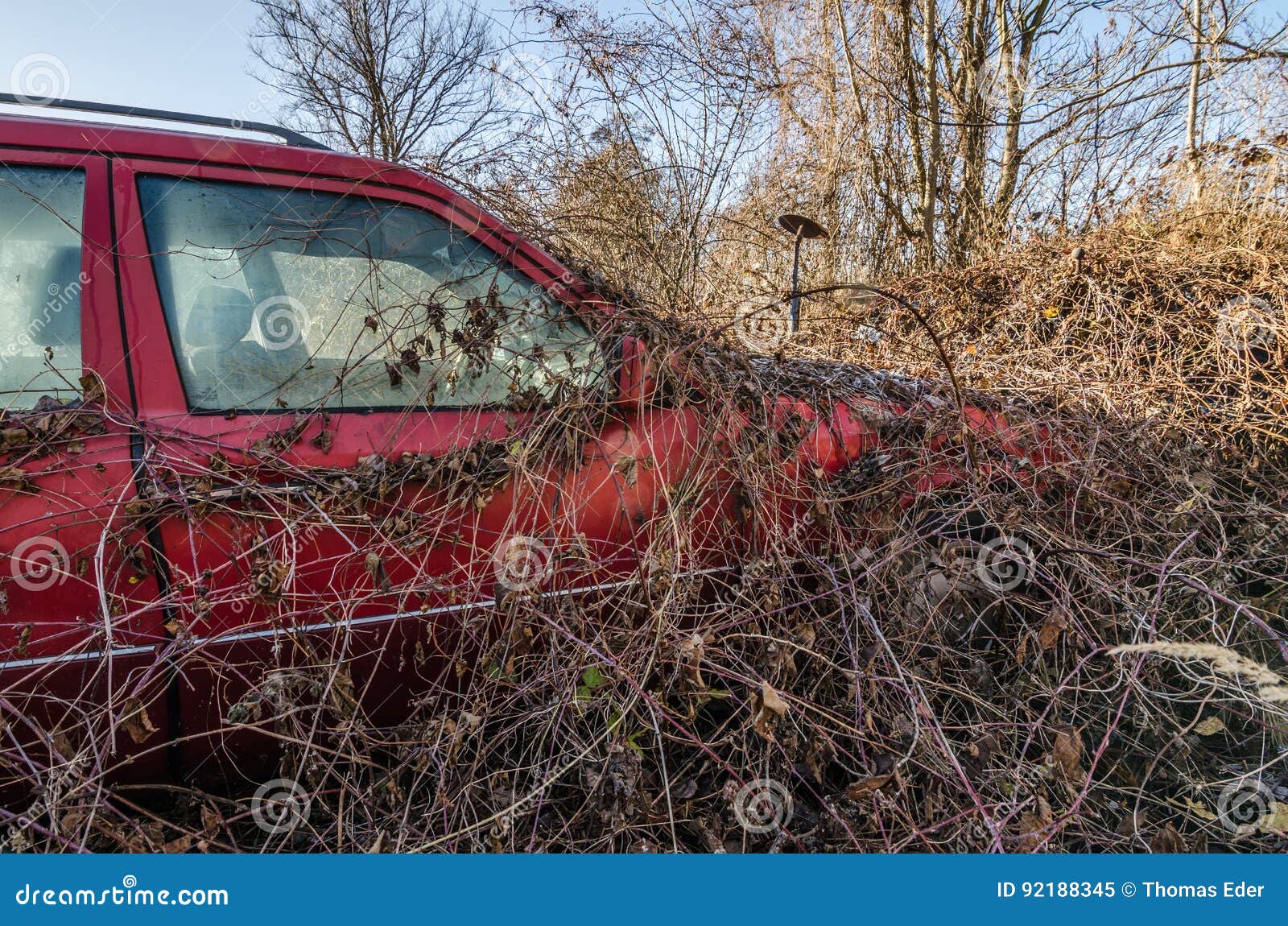 Red overgrown car stock image. Image of facility, drive - 92188345