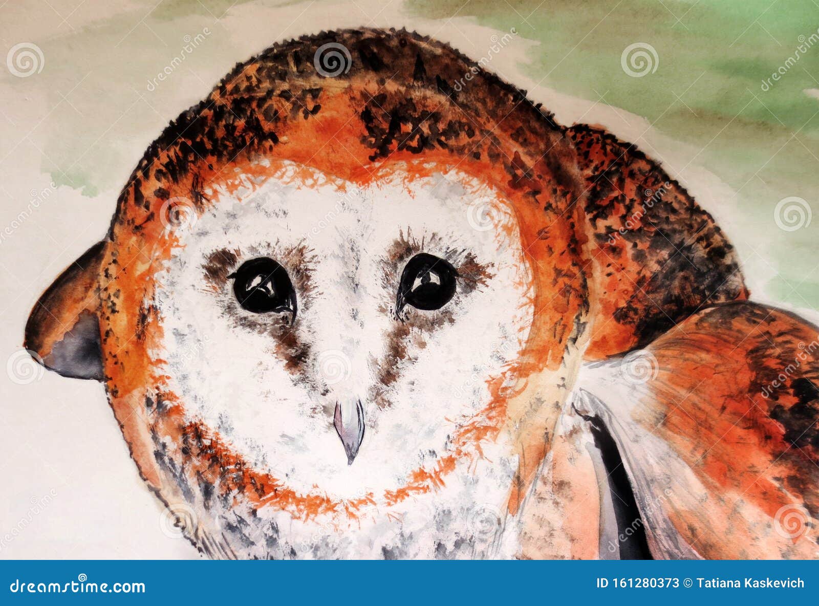 Red Owl Barn Owl, Watercolor Stock Illustration - Illustration of ...