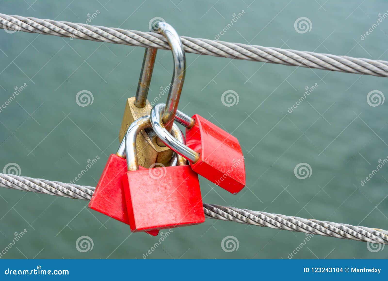 Red Padlocks Hanging on a Steel Cable Stock Photo - Image of hanging ...