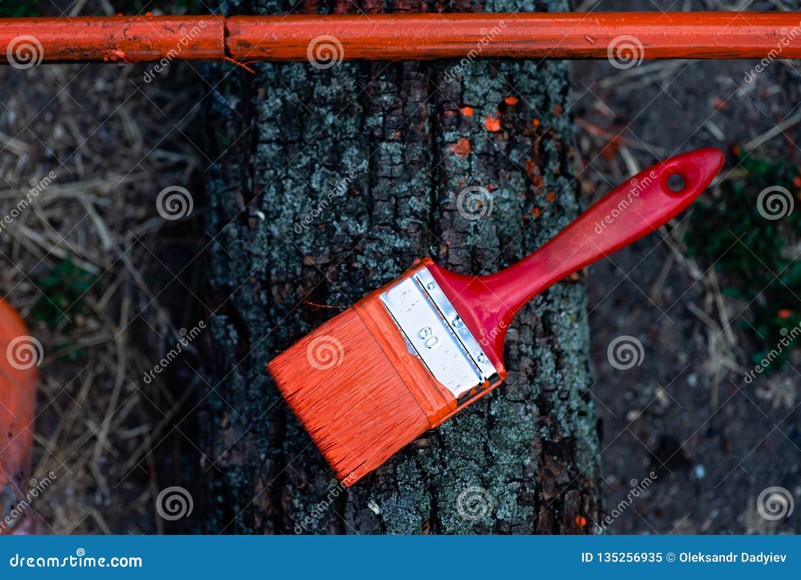 Red Paint Brush in Orange Paint. on Tree Bark Stock Image - Image of ...