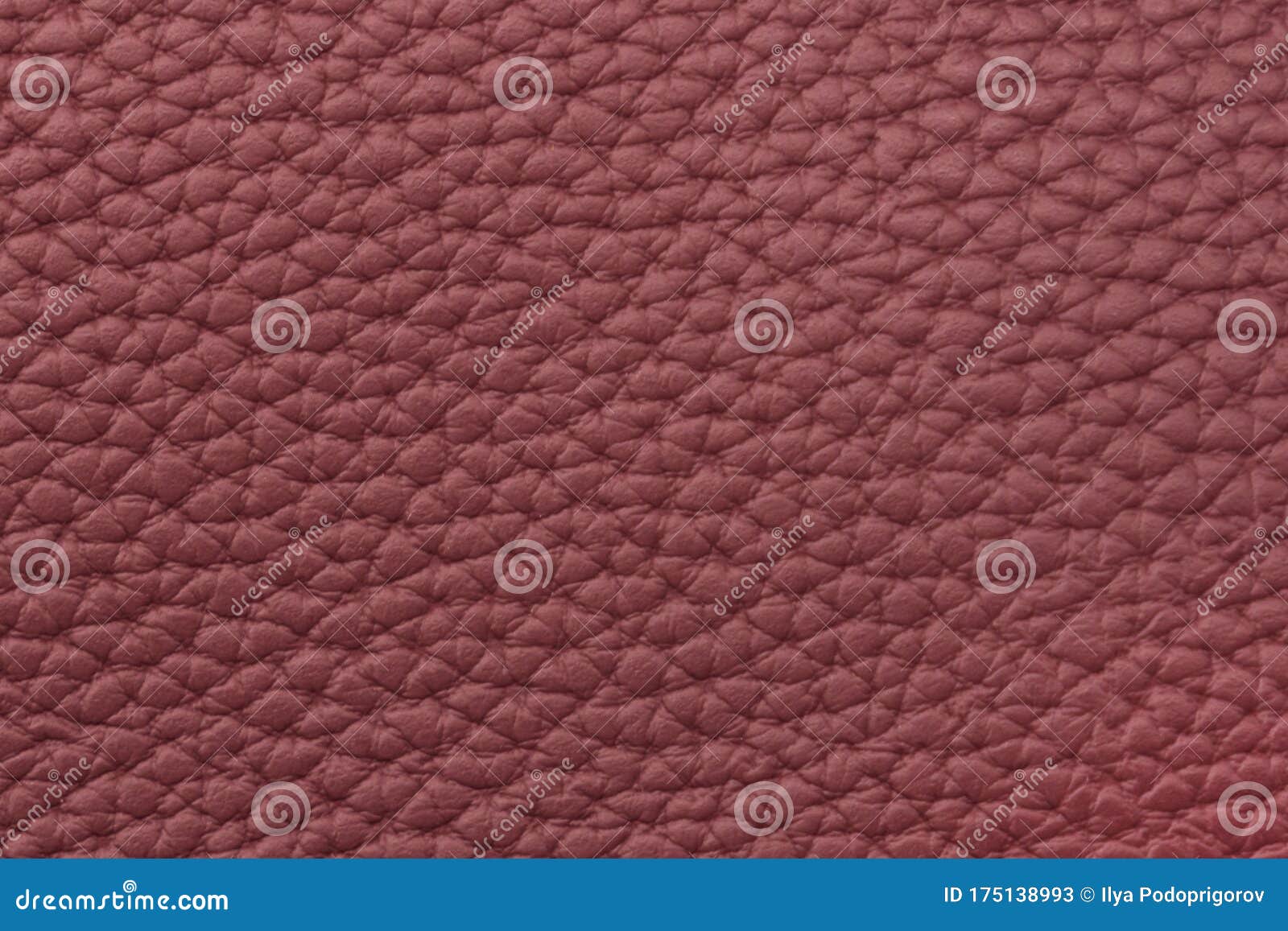 Red Painted Leather Texture Macro. Material with a Pattern, Wallpaper ...