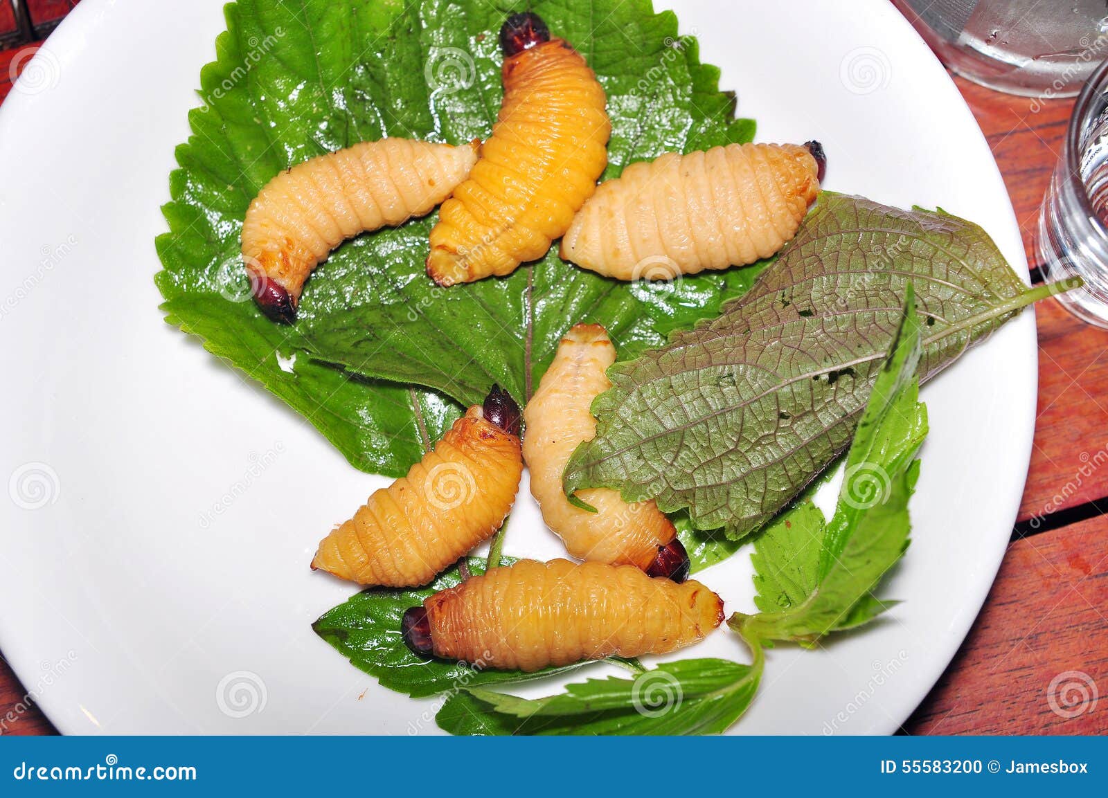 321 Fish Sago Stock Photos - Free & Royalty-Free Stock Photos from ...