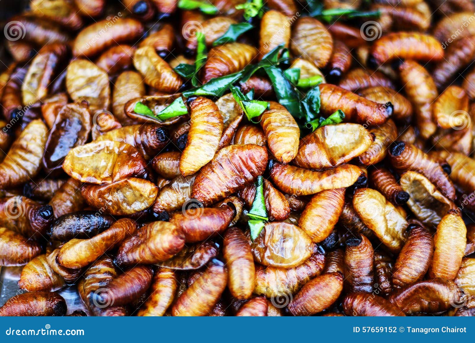 Red Palm Weevil ,sago Worm Fried Stock Photo - Image of small, meat ...