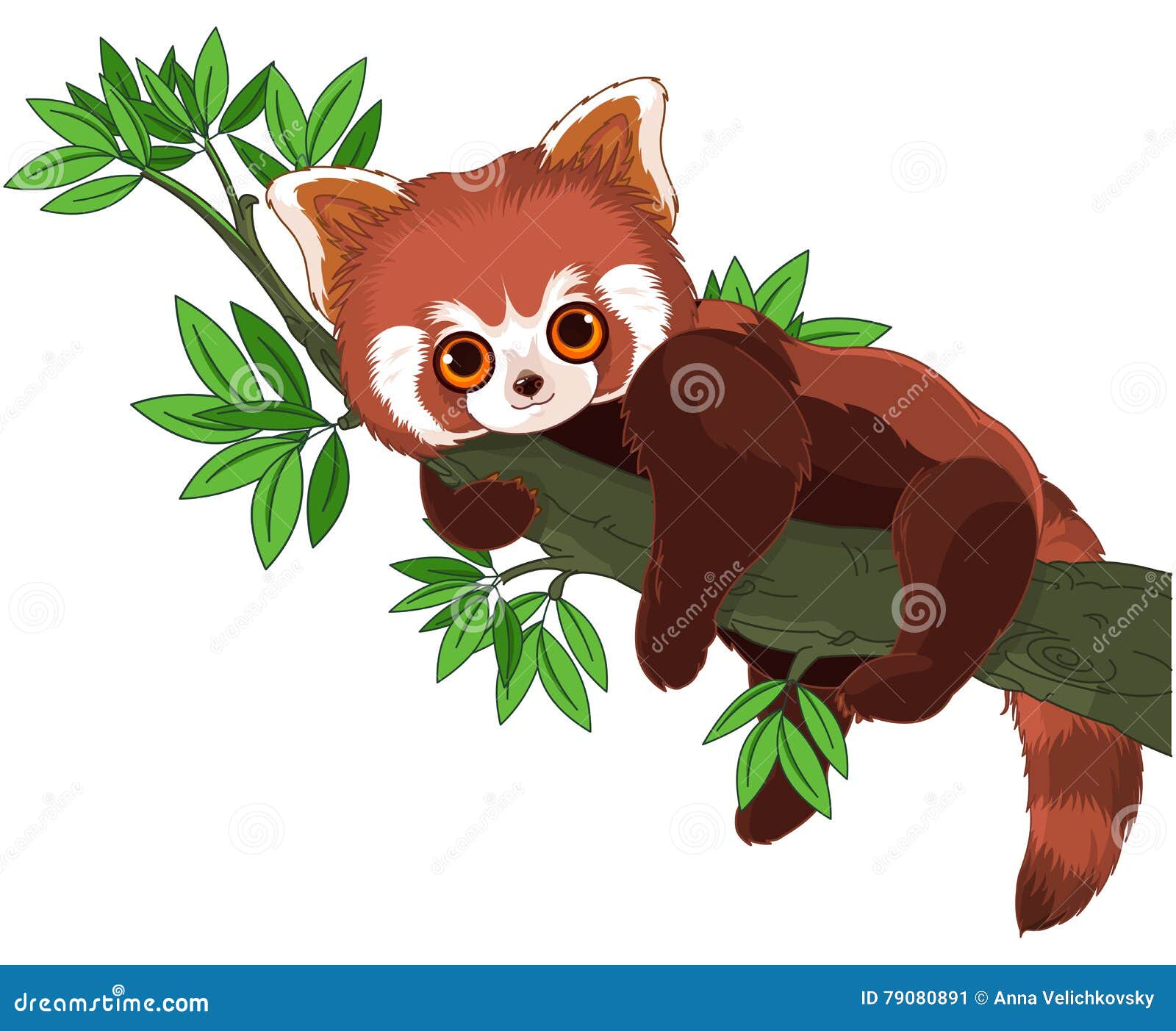 Red Panda Tree Stock Illustrations – 1,027 Red Panda Tree Stock ...