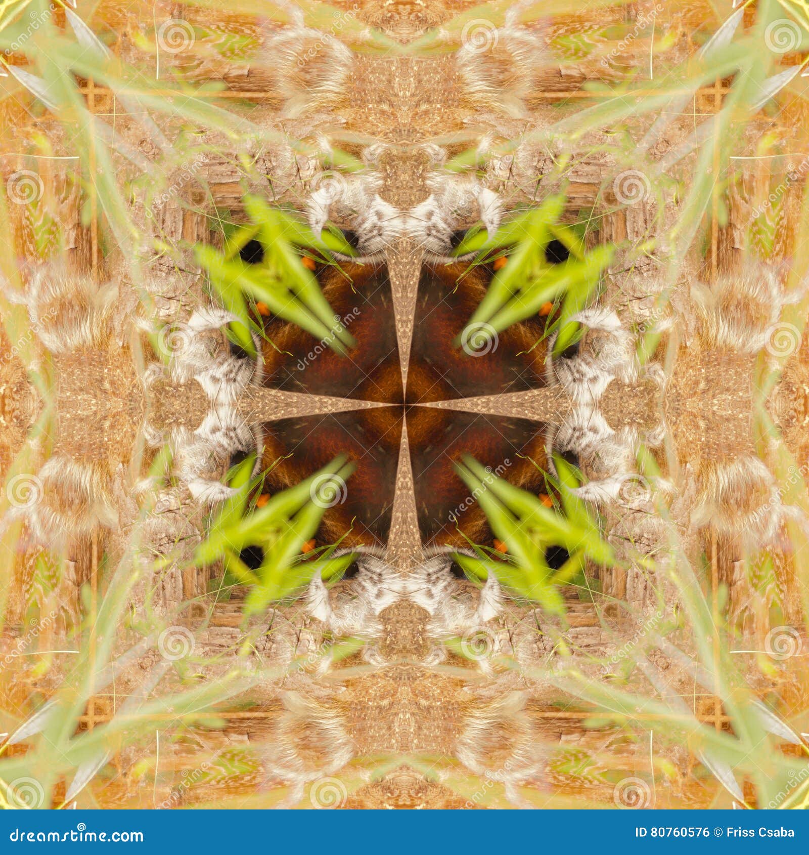 Red panda abstract 1 stock photo. Image of abstract, theme - 80760576