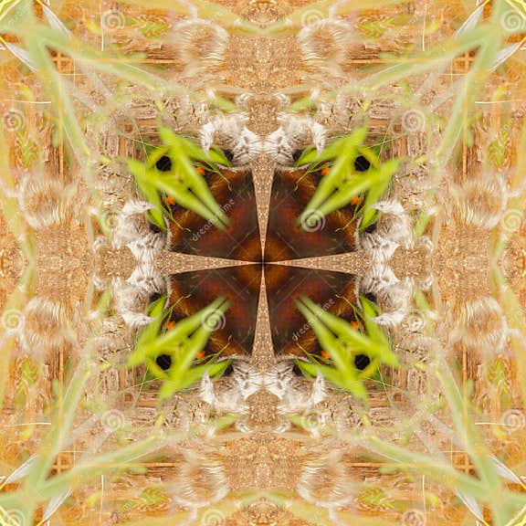 Red panda abstract 1 stock photo. Image of abstract, theme - 80760576