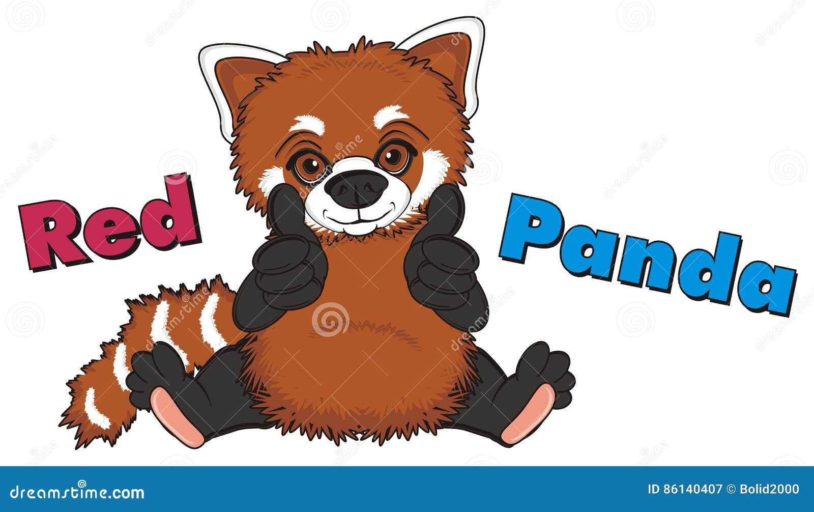 Red Panda with Name and Gesture Stock Illustration - Illustration of ...