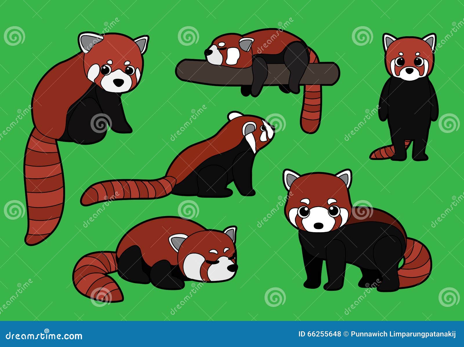 Red Panda Poses Stroke Cartoon Vector Illustration Stock Vector ...