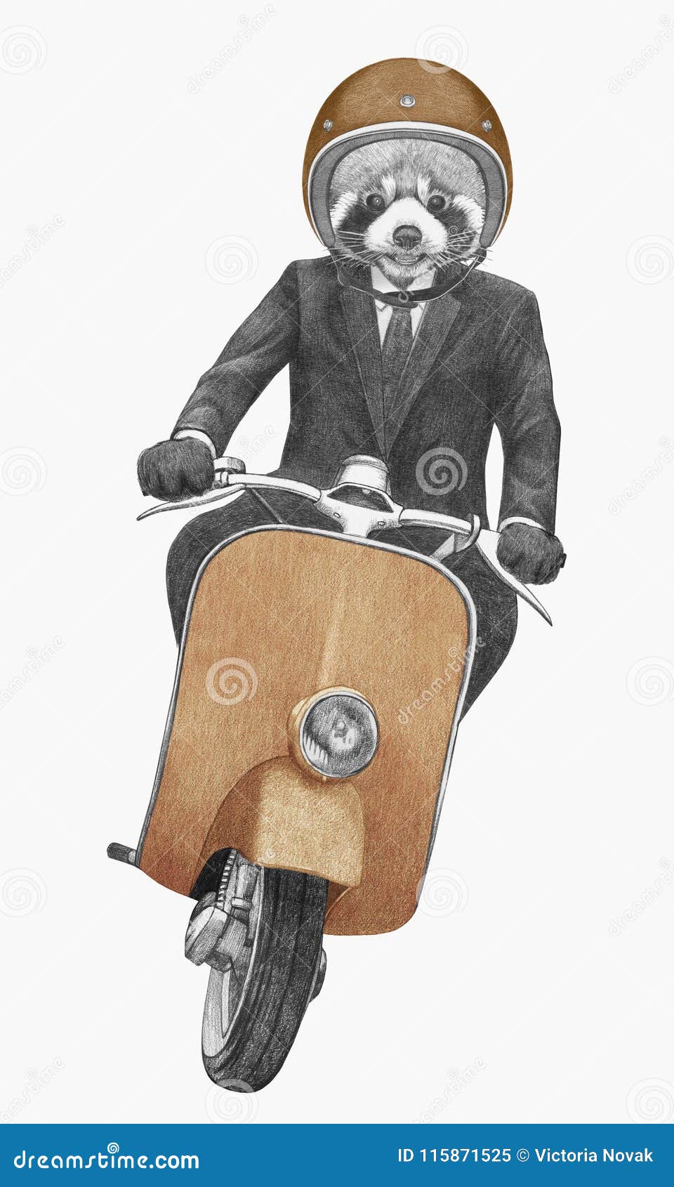 Red Panda Rides Motorcycle. Hand-drawn Illustration. Stock Illustration ...