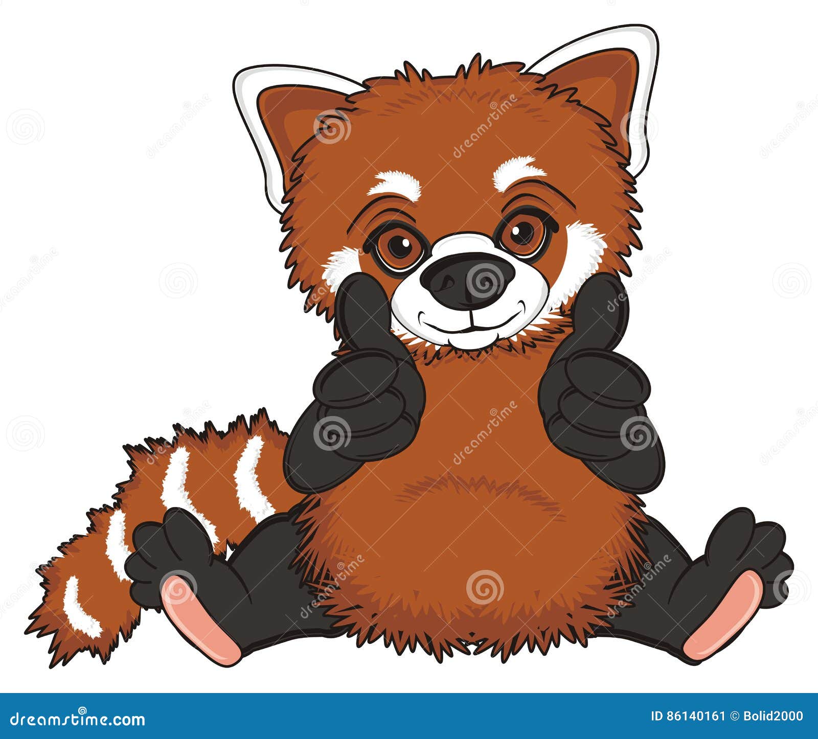 Red panda show gesture stock illustration. Illustration of asia - 86140161