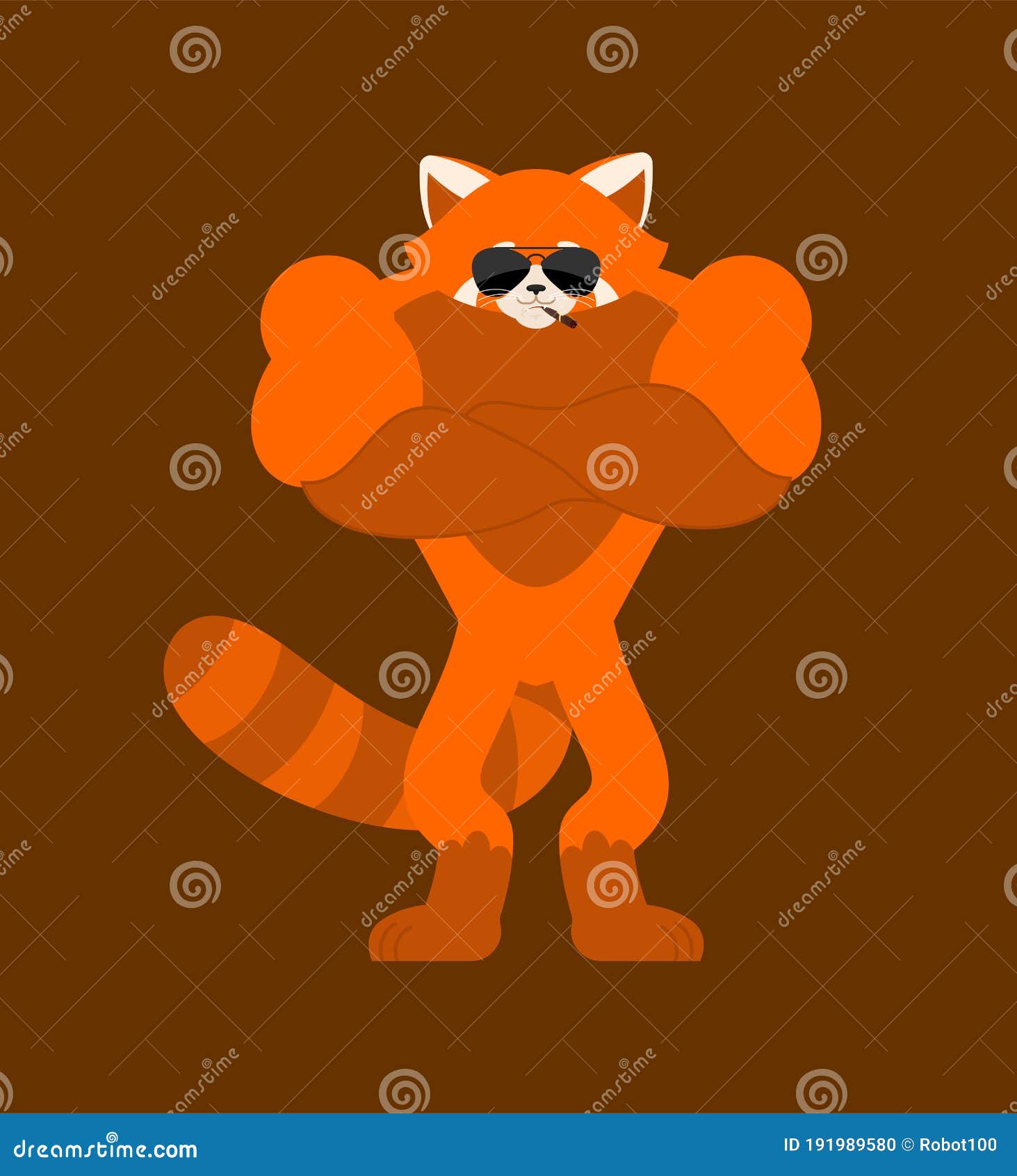 Red Panda Strong Cool Serious. Beast Strict Stock Vector - Illustration ...