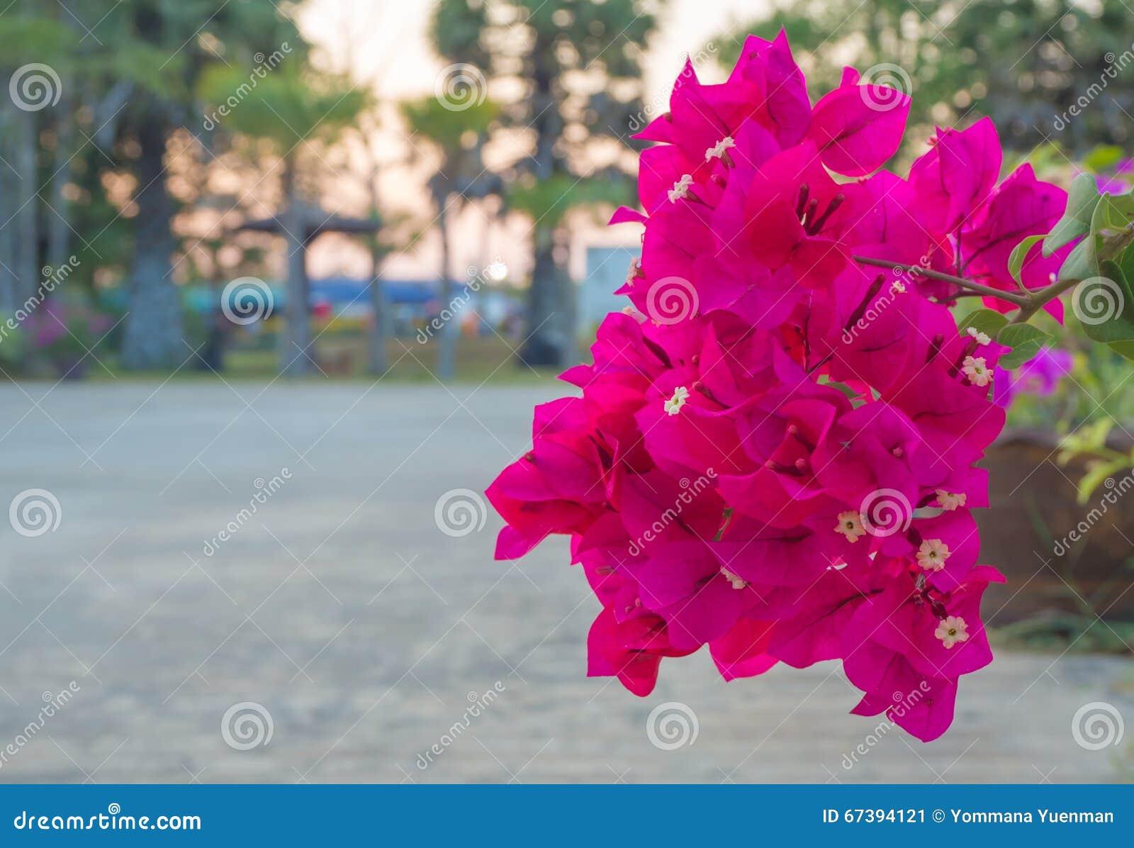 Red Paper Flower stock image. Image of backdrop, pollen - 67394121