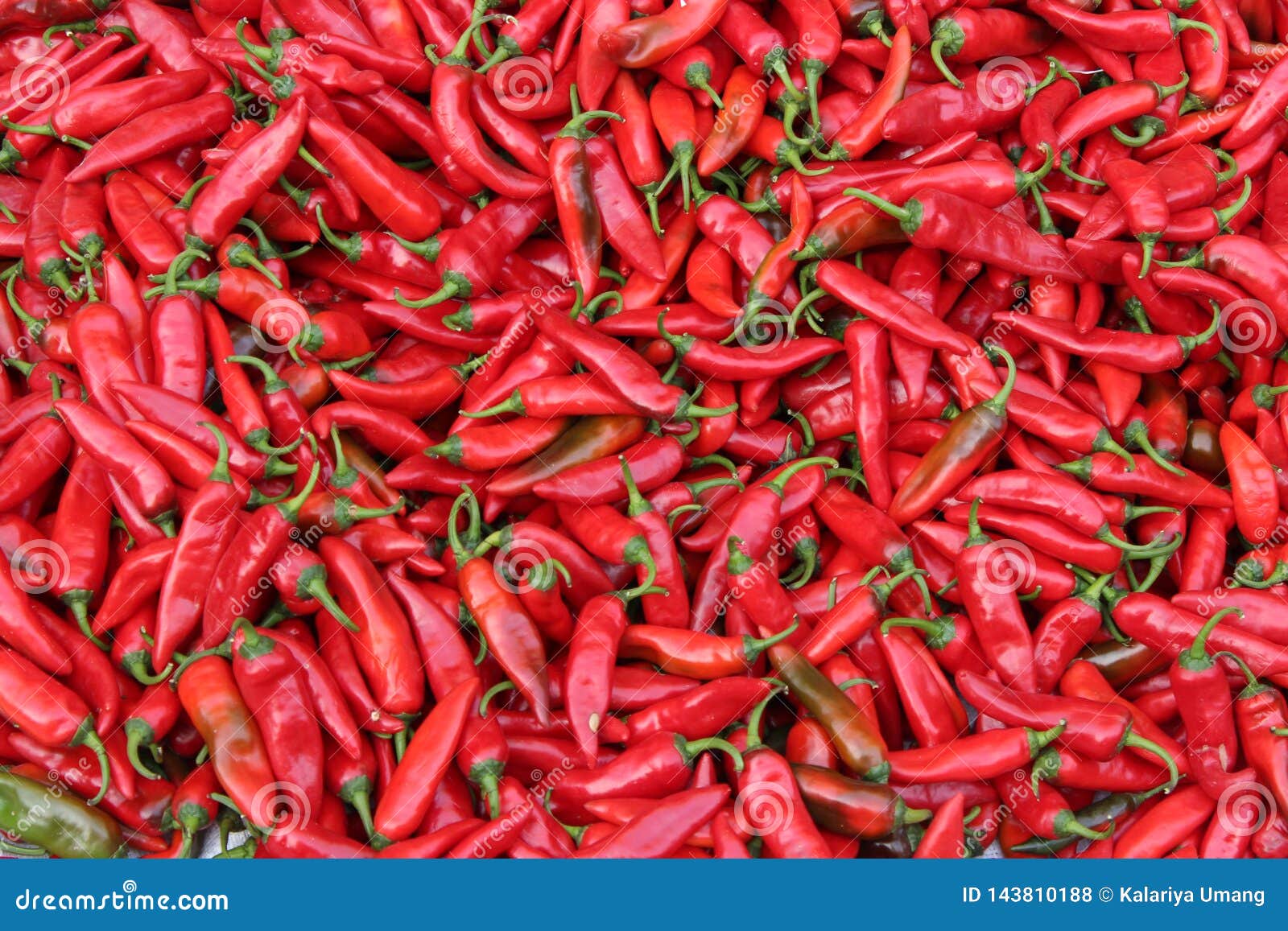 Red papper stock photo. Image of colours, pepper, green - 143810188