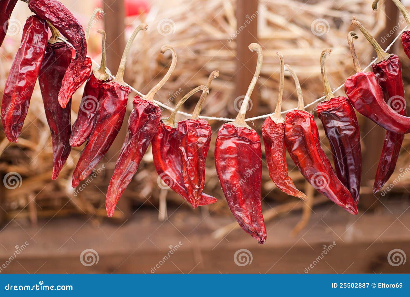 Red paprika stock image. Image of healthy, paprika, chili - 25502887