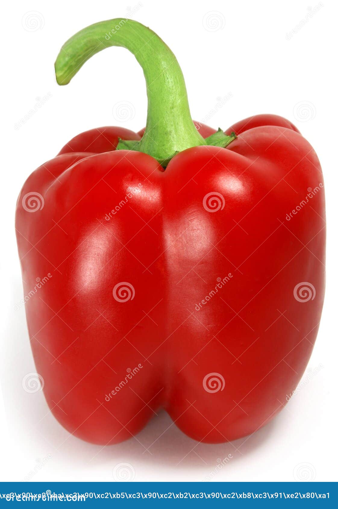 Red paprika stock photo. Image of bright, delicious, palatable - 3753450