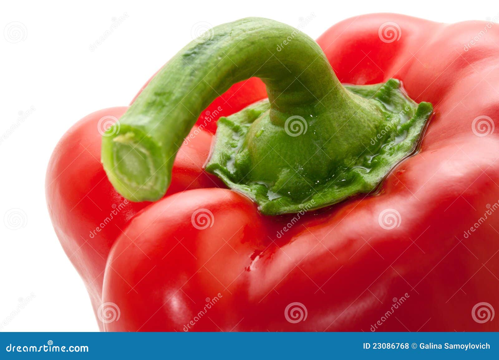 Red paprika close up stock photo. Image of healthy, cooking - 23086768 Red paprika close up stock photo. Image of healthy, cooking - 23086768