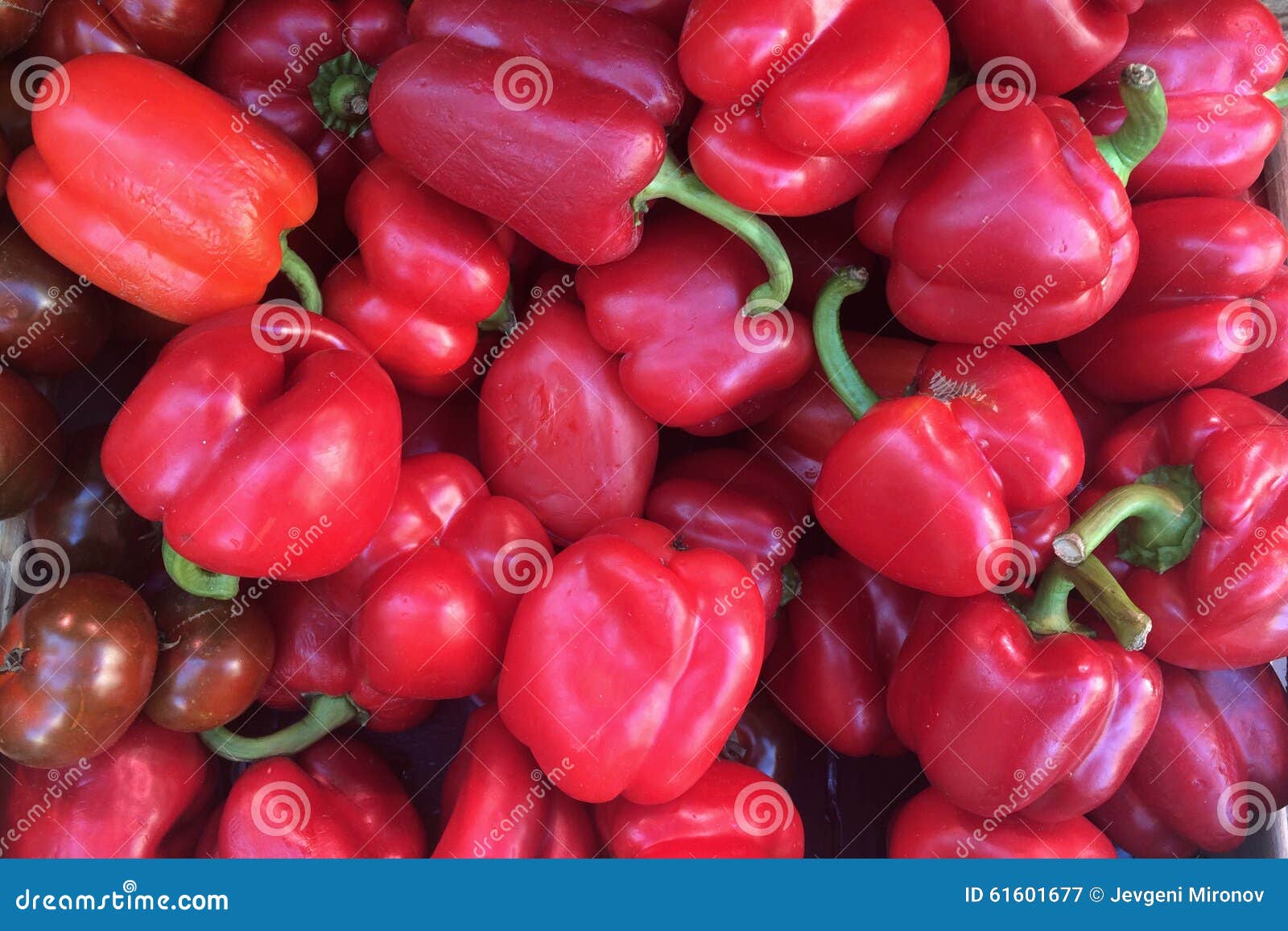 Red paprika peppers stock image. Image of nature, product - 61601677