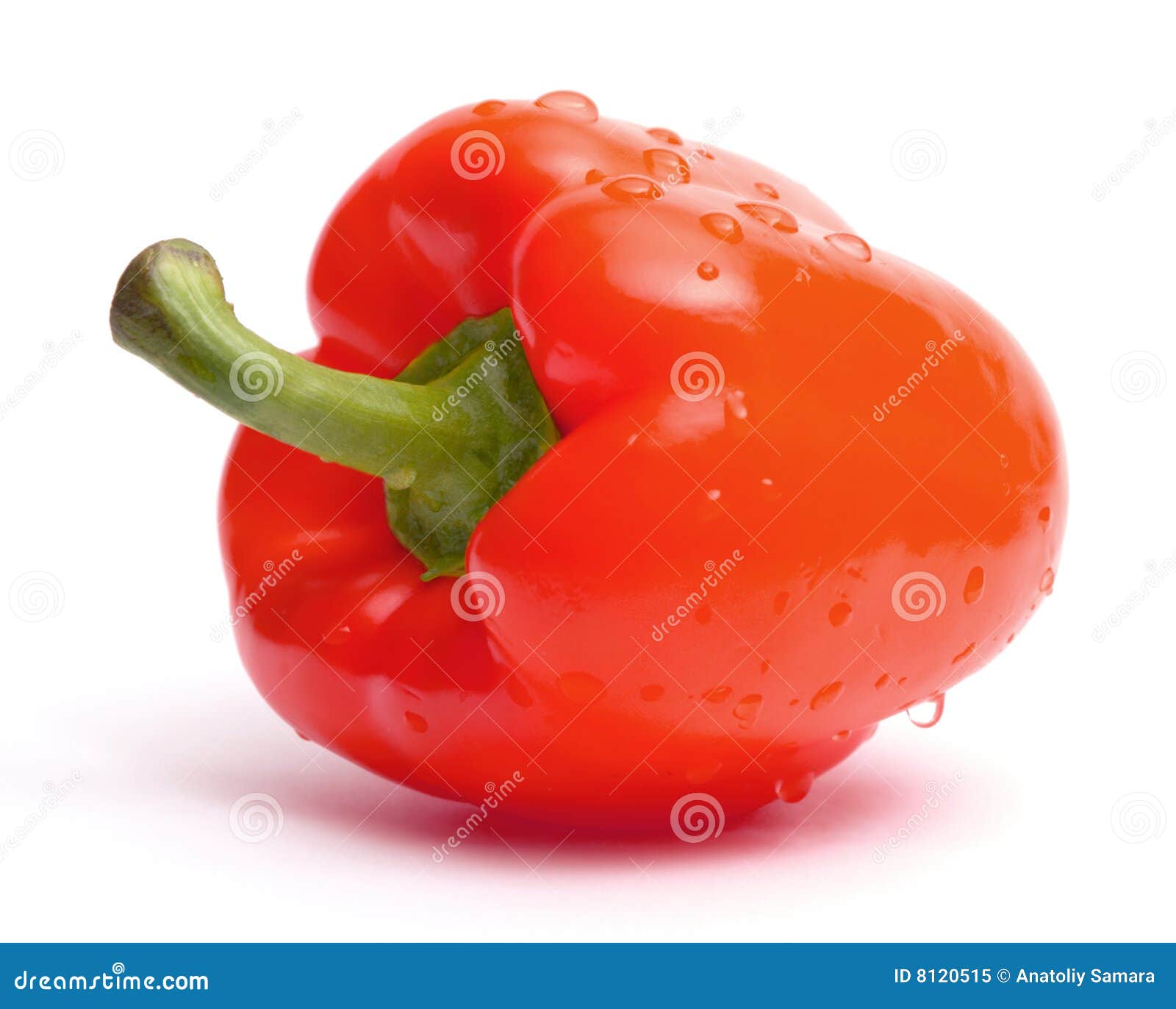 Red Paprika with Water Drops Isolated Stock Image - Image of ingredient ...