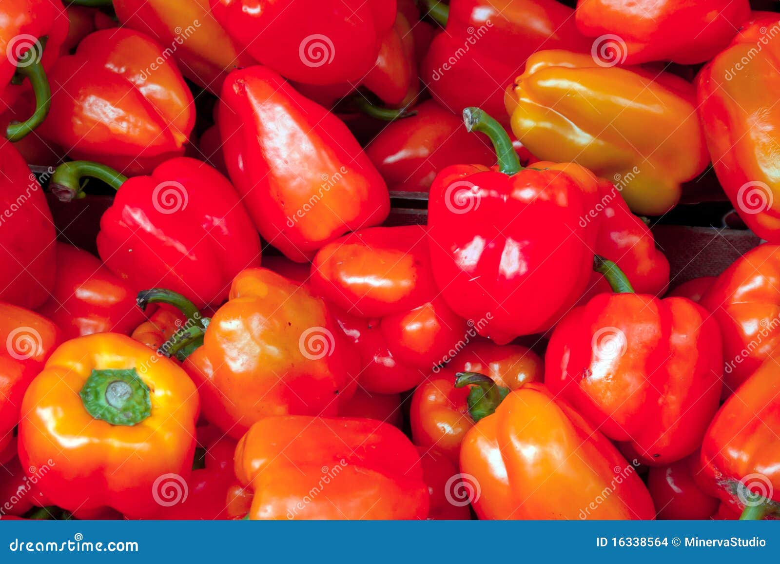 Red paprikas background stock photo. Image of peel, background - 16338564