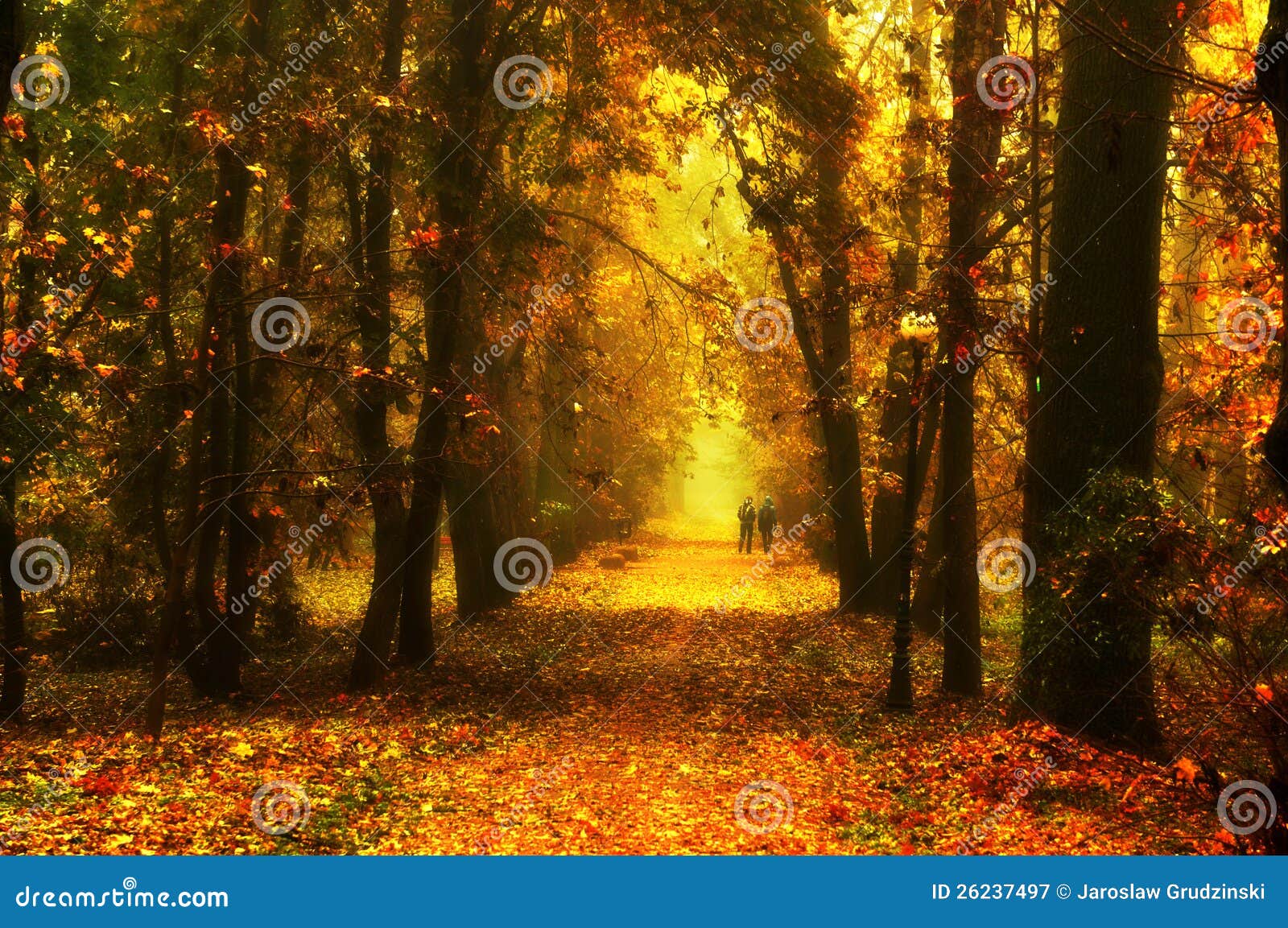 Red park alley stock image. Image of color, outdoor, natural - 26237497