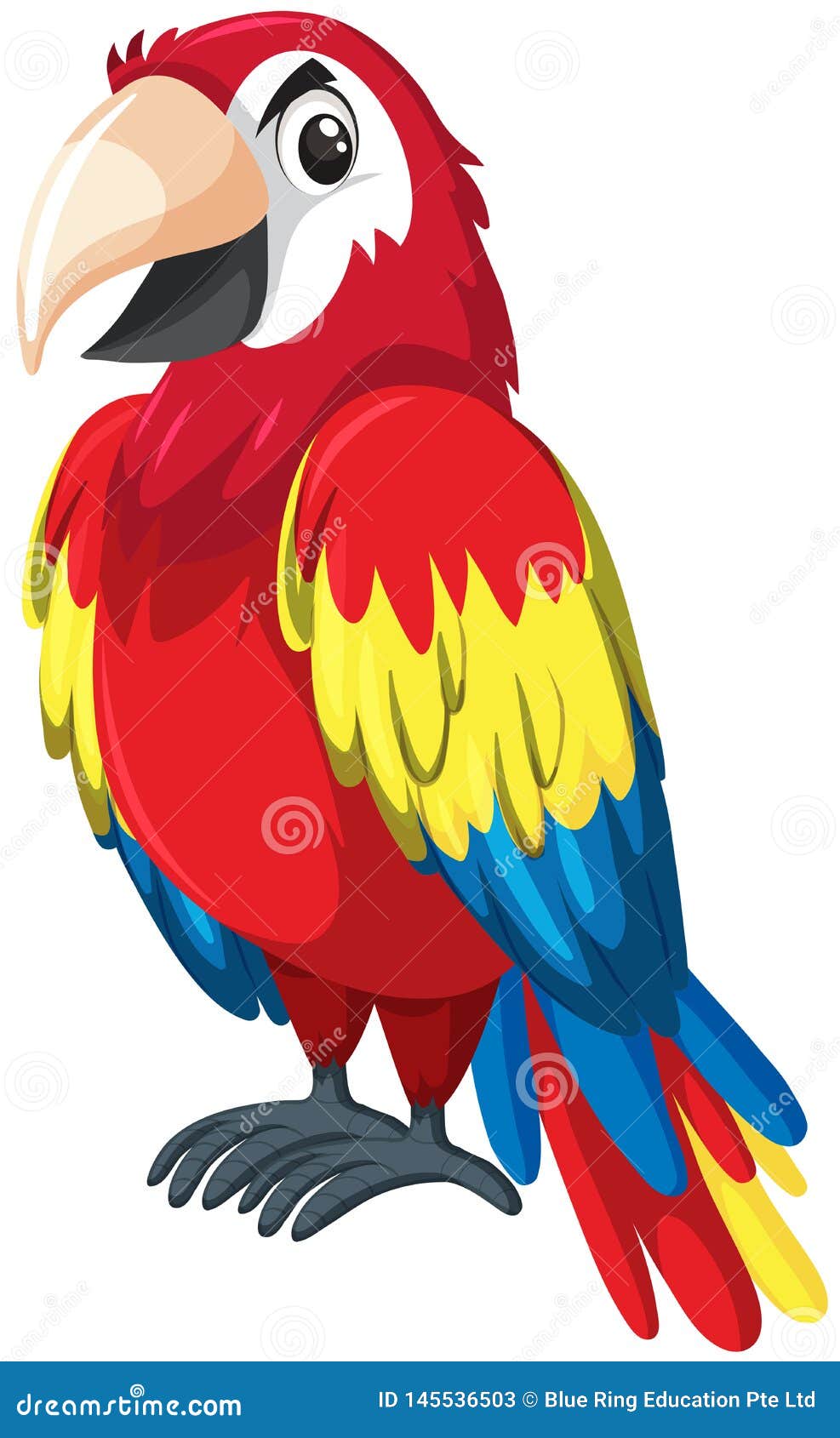 A red parrot character stock vector. Illustration of happy - 145536503