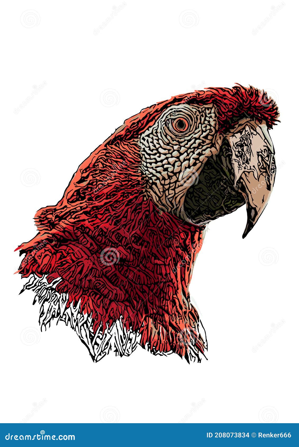 Parrot Head And Spray. Watercolor Painting Stock Photography ...