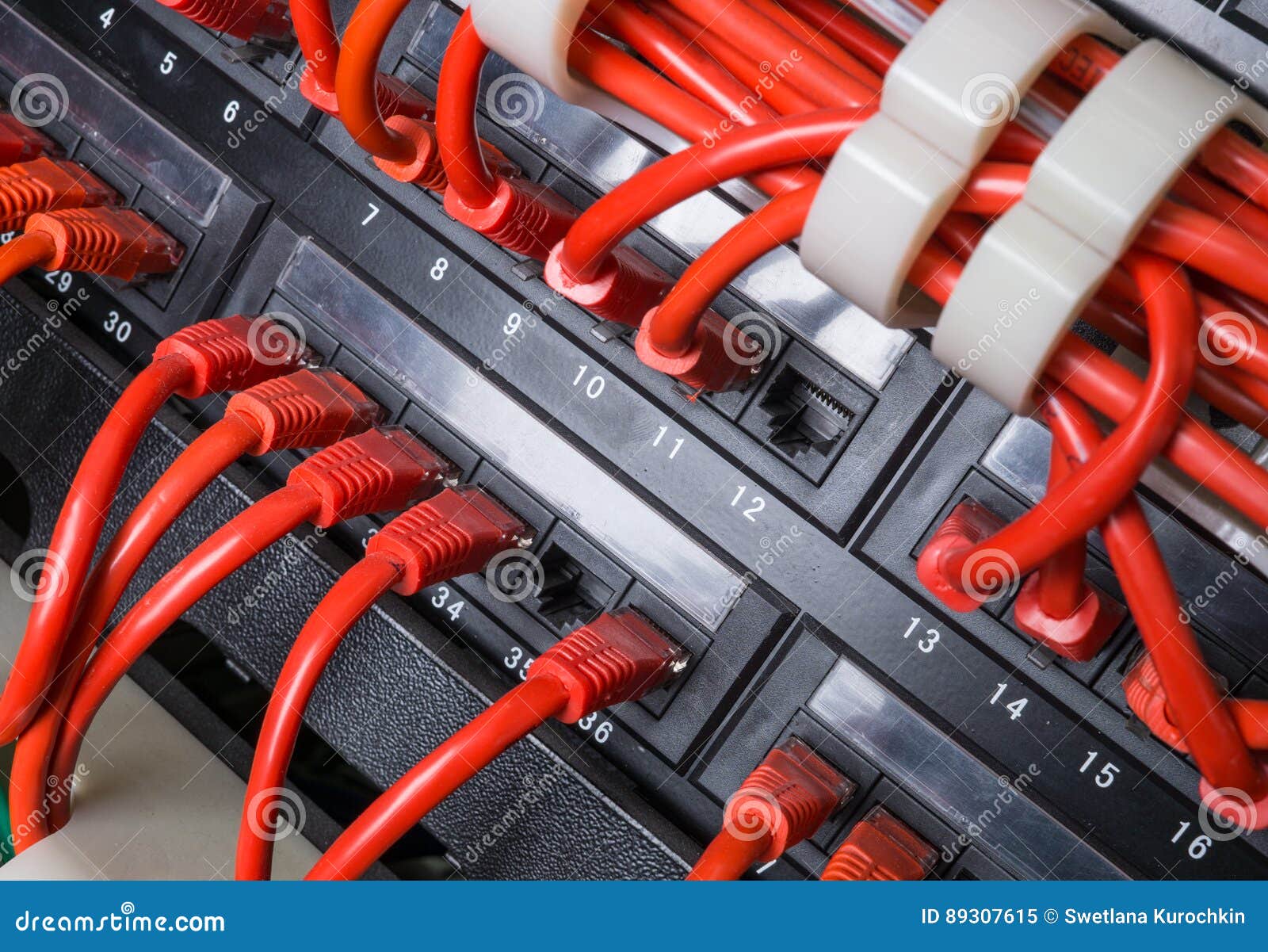 Red Patch Cord Cables Connected To Black Switch Stock Image - Image of ...
