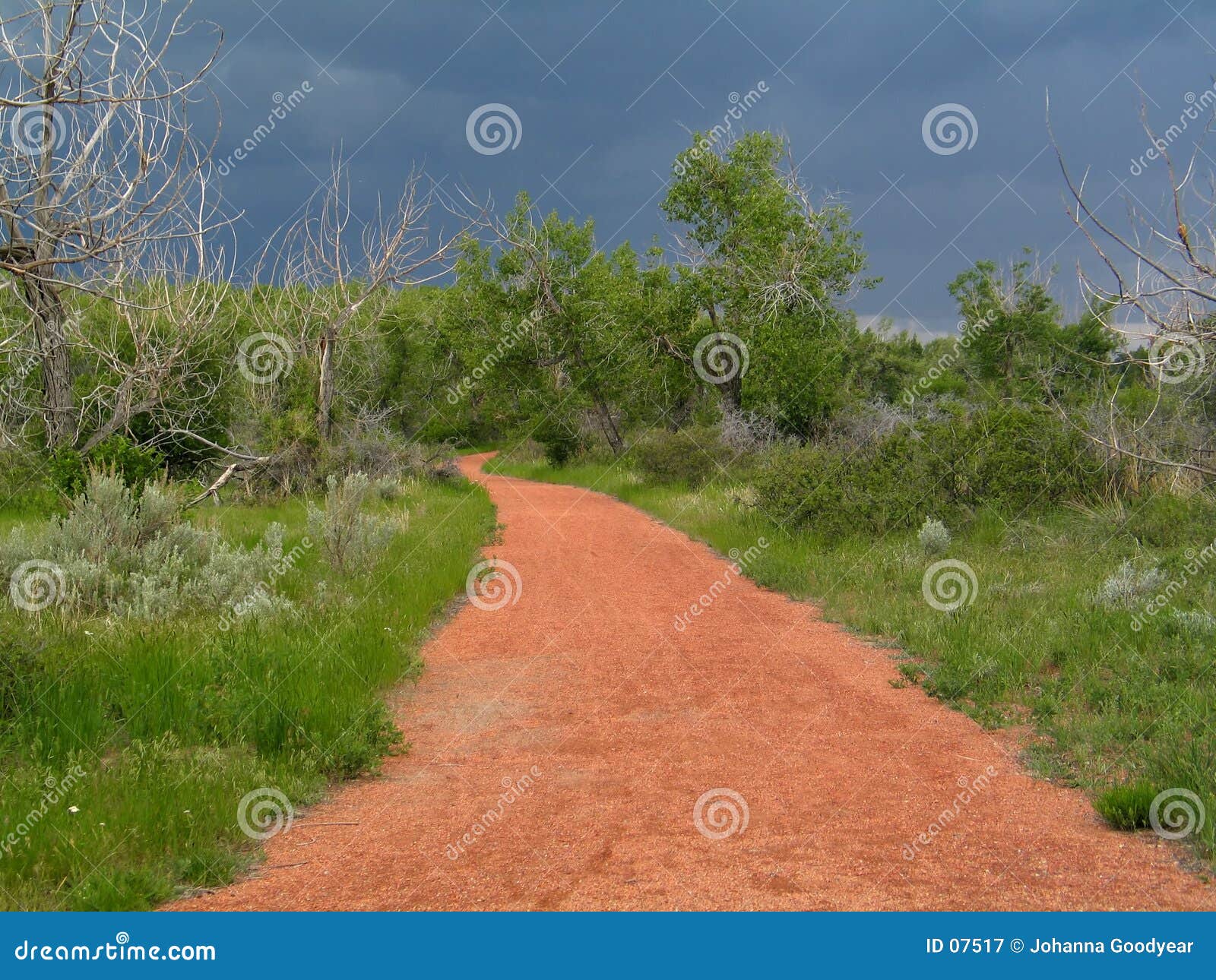Red path stock image. Image of plant, plants, grassy, vegetation - 7517