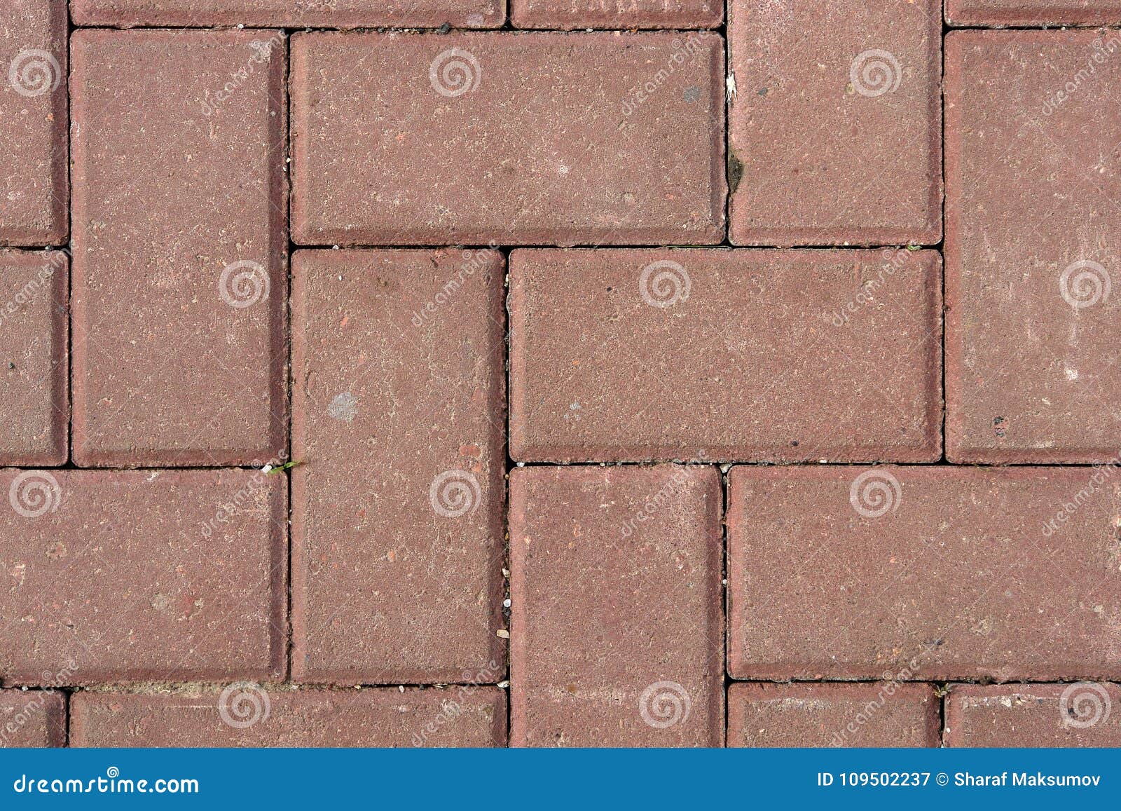Pavement Stones With Grass Royalty-Free Stock Photography ...