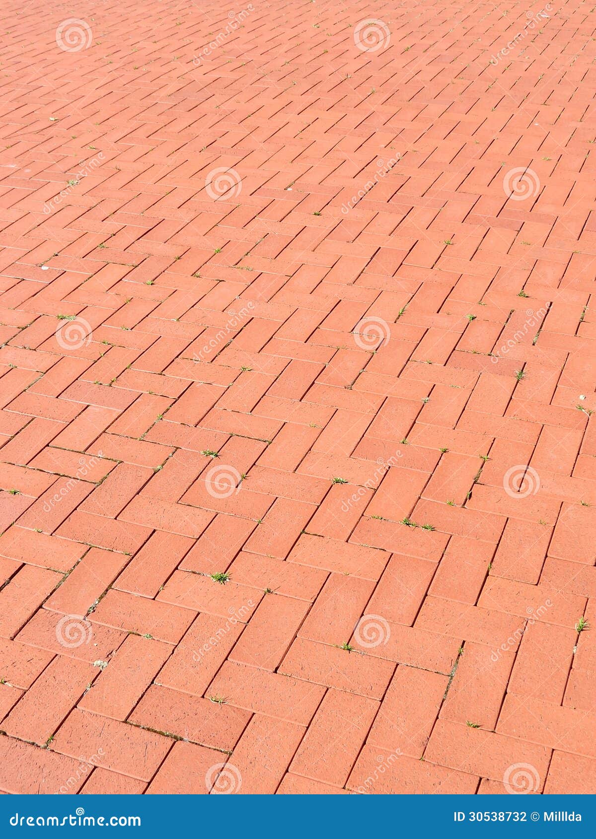 Red pavement stock photo. Image of pink, brick, urban - 30538732
