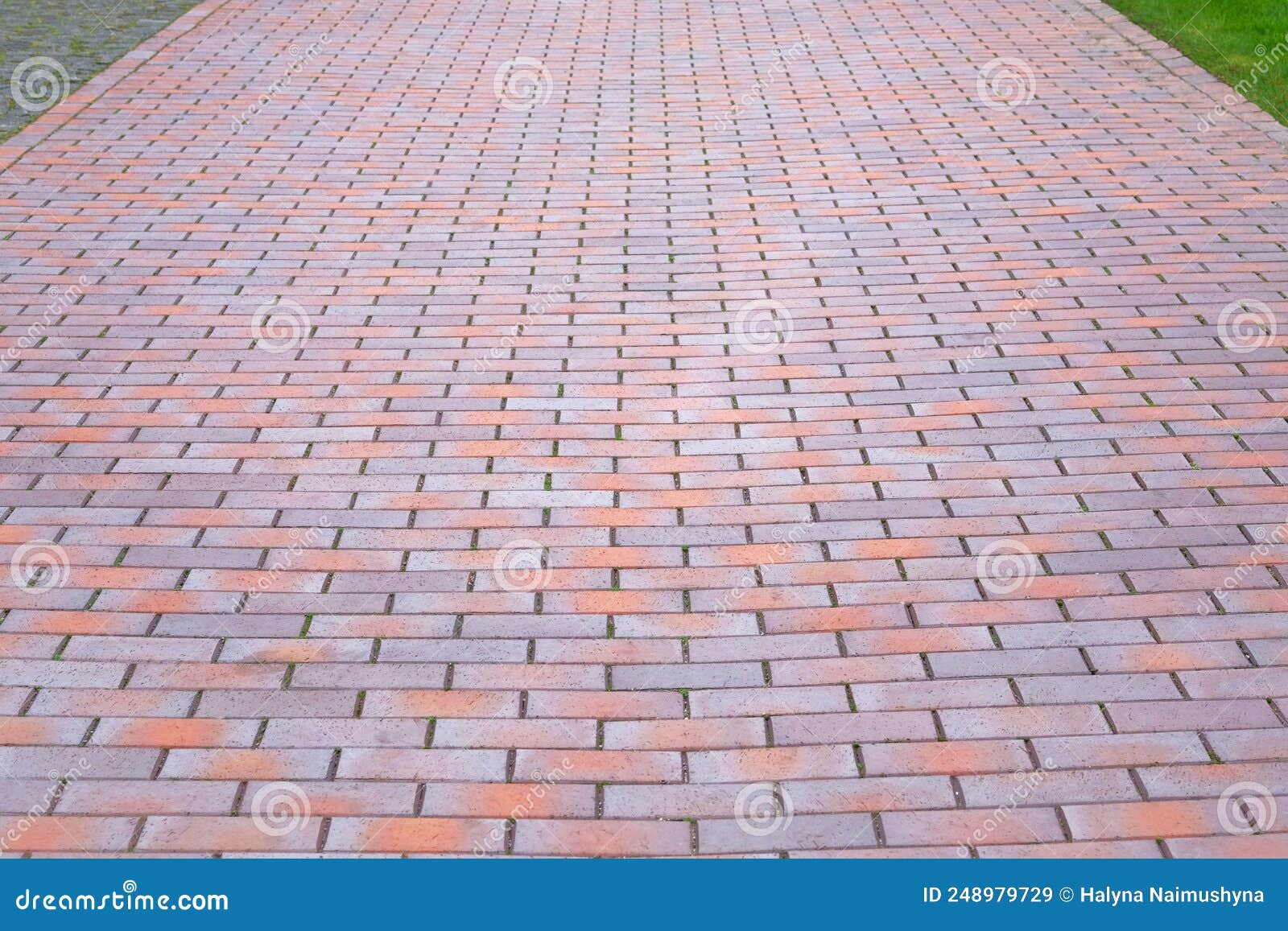 Red Paving Slab, Background. Pedestrian Zone in the Park in Daylight ...