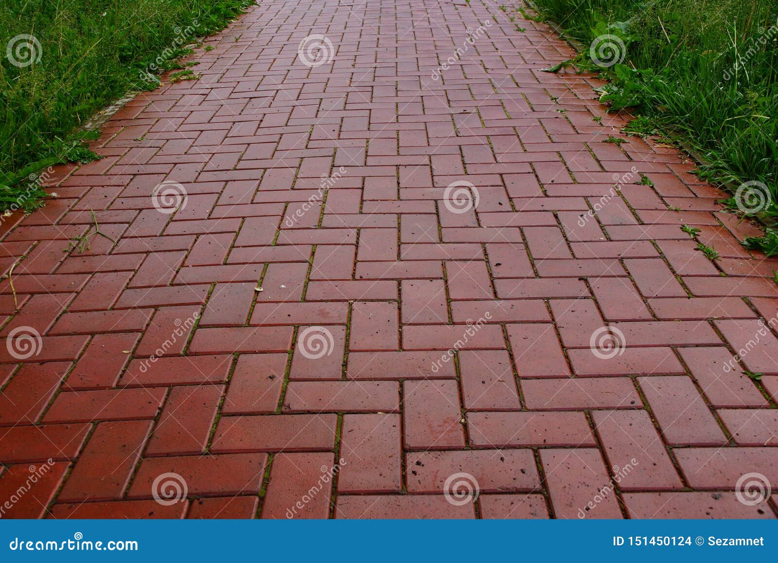 Red Paving Slabs after Rain Surface Abstract Stock Photo - Image of ...