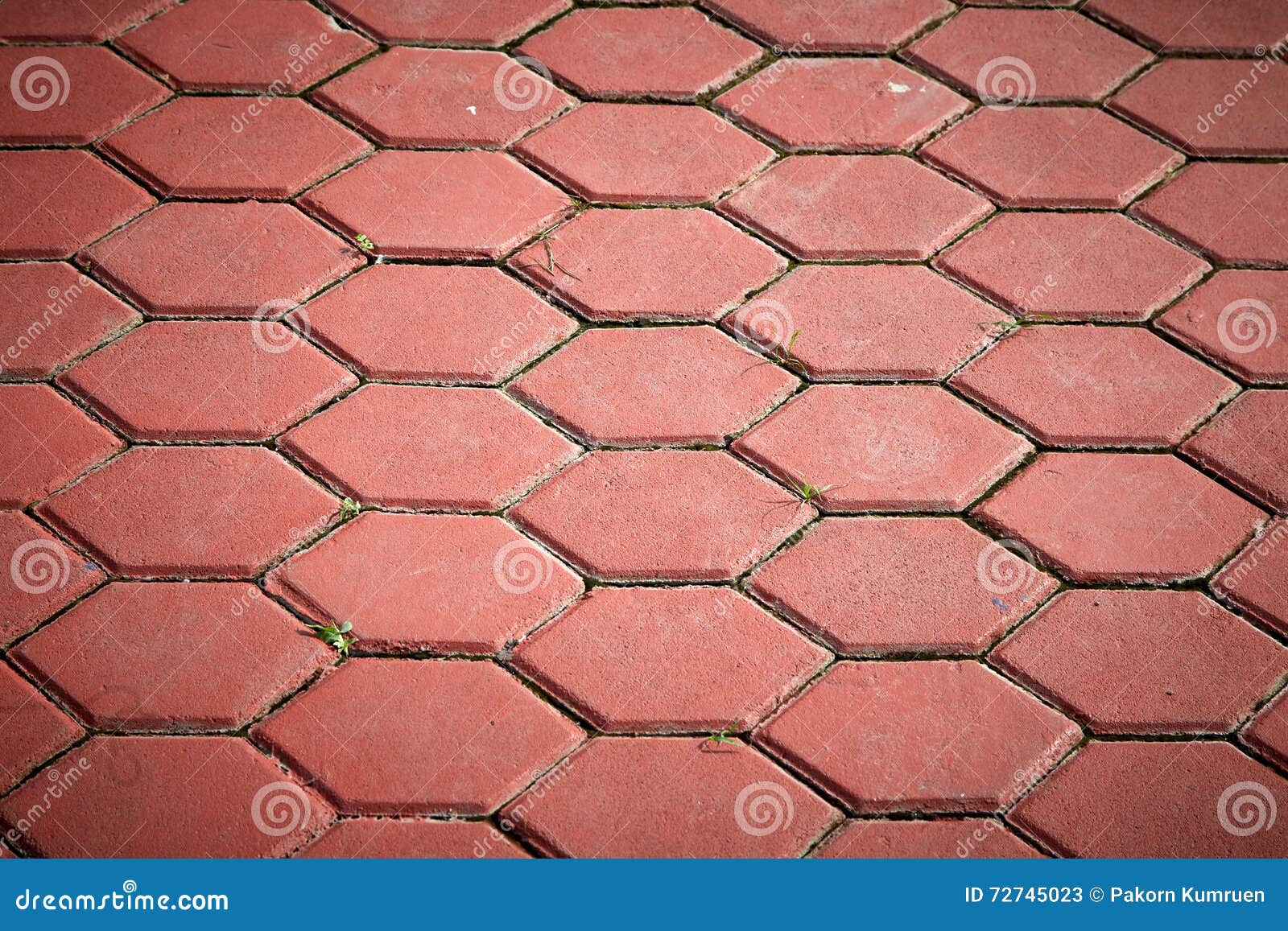 Red paving tiles stock image. Image of patterned, pavement - 72745023