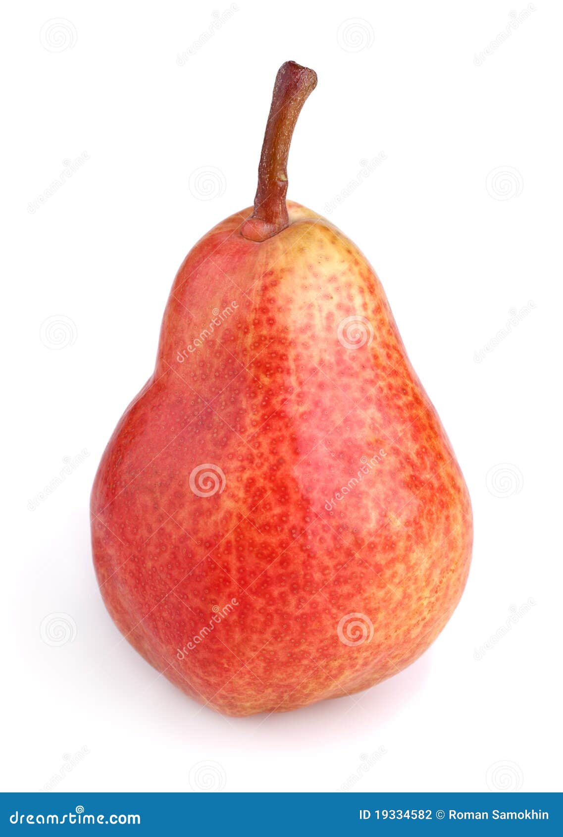 Red pear stock photo. Image of eating, pear, closeup - 19334582