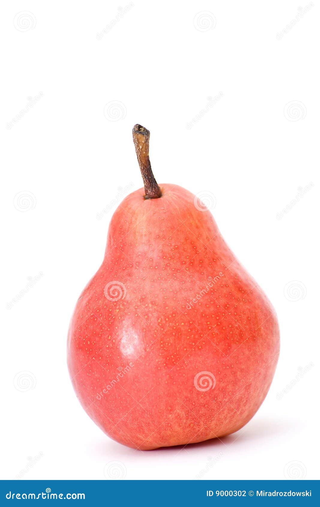 Red pear stock photo. Image of studio, fruit, nature, color - 9000302