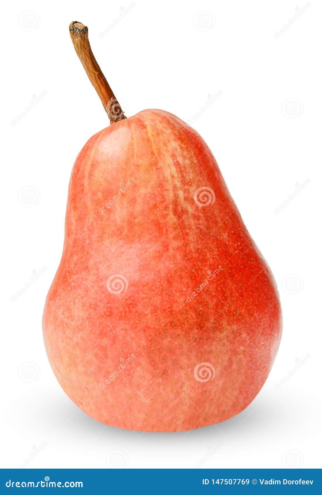 Red Pear Isolated on White. Bright Colours. Design Element for Print ...