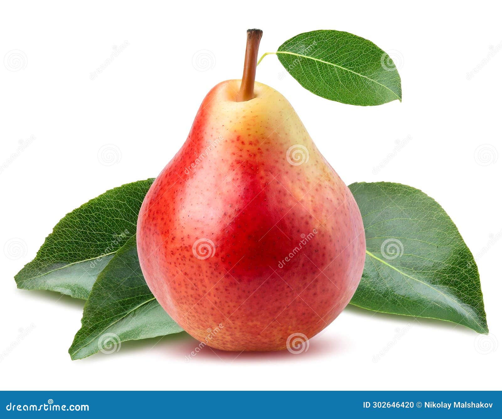 Red Pear with Leaves Isolated on White Background. Stock Illustration ...
