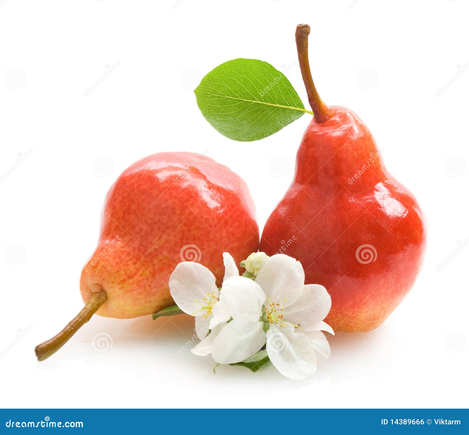 Red pears stock photo. Image of nutrition, isolated, summer - 14389666