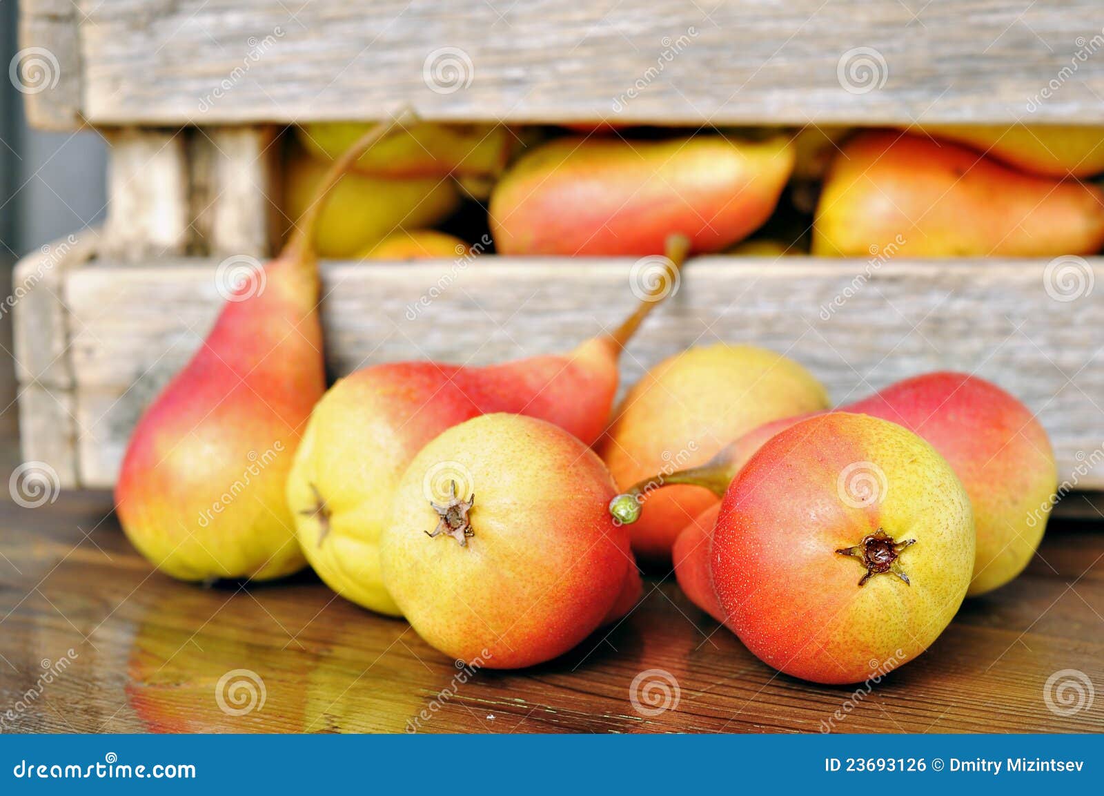 Red pears stock photo. Image of storage, ripe, snack - 23693126
