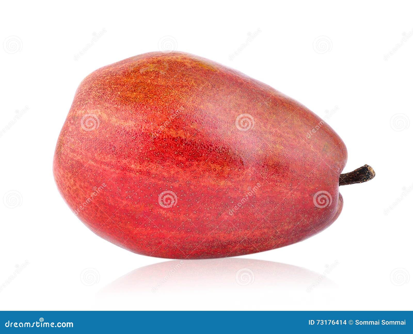 Red pears stock photo. Image of isolated, organic, vegetarian - 73176414