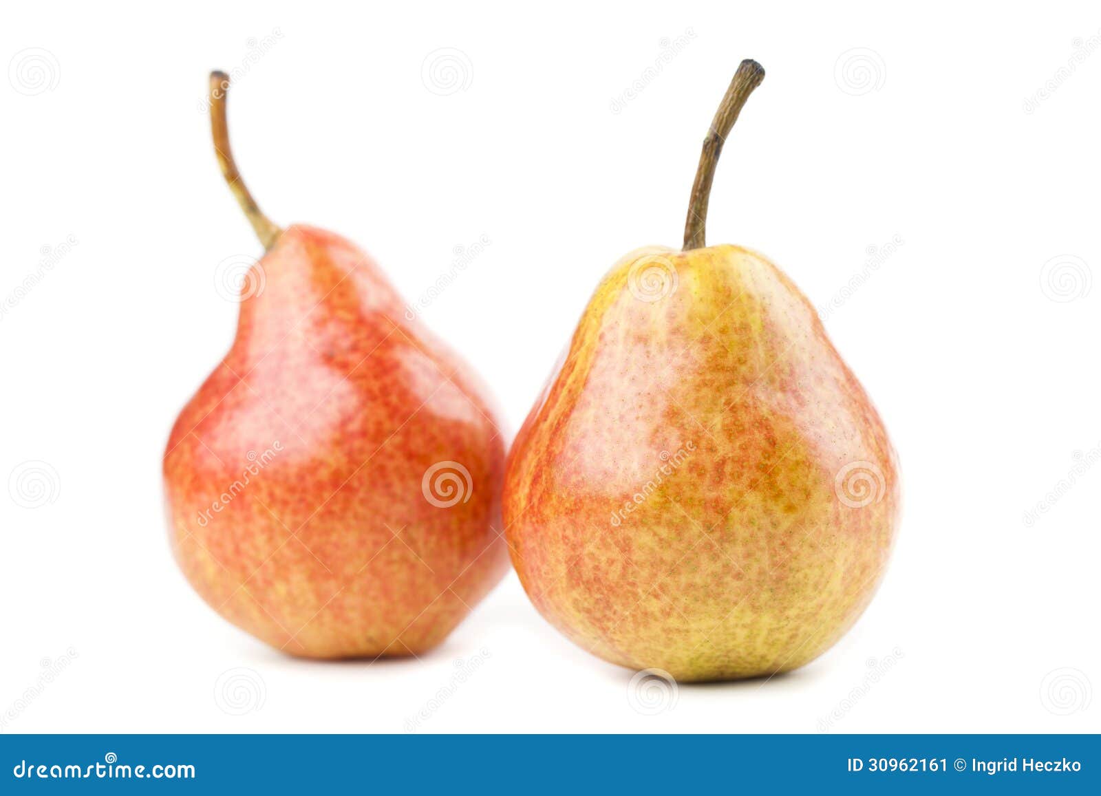 Red pears stock image. Image of pear, organic, healthy - 30962161