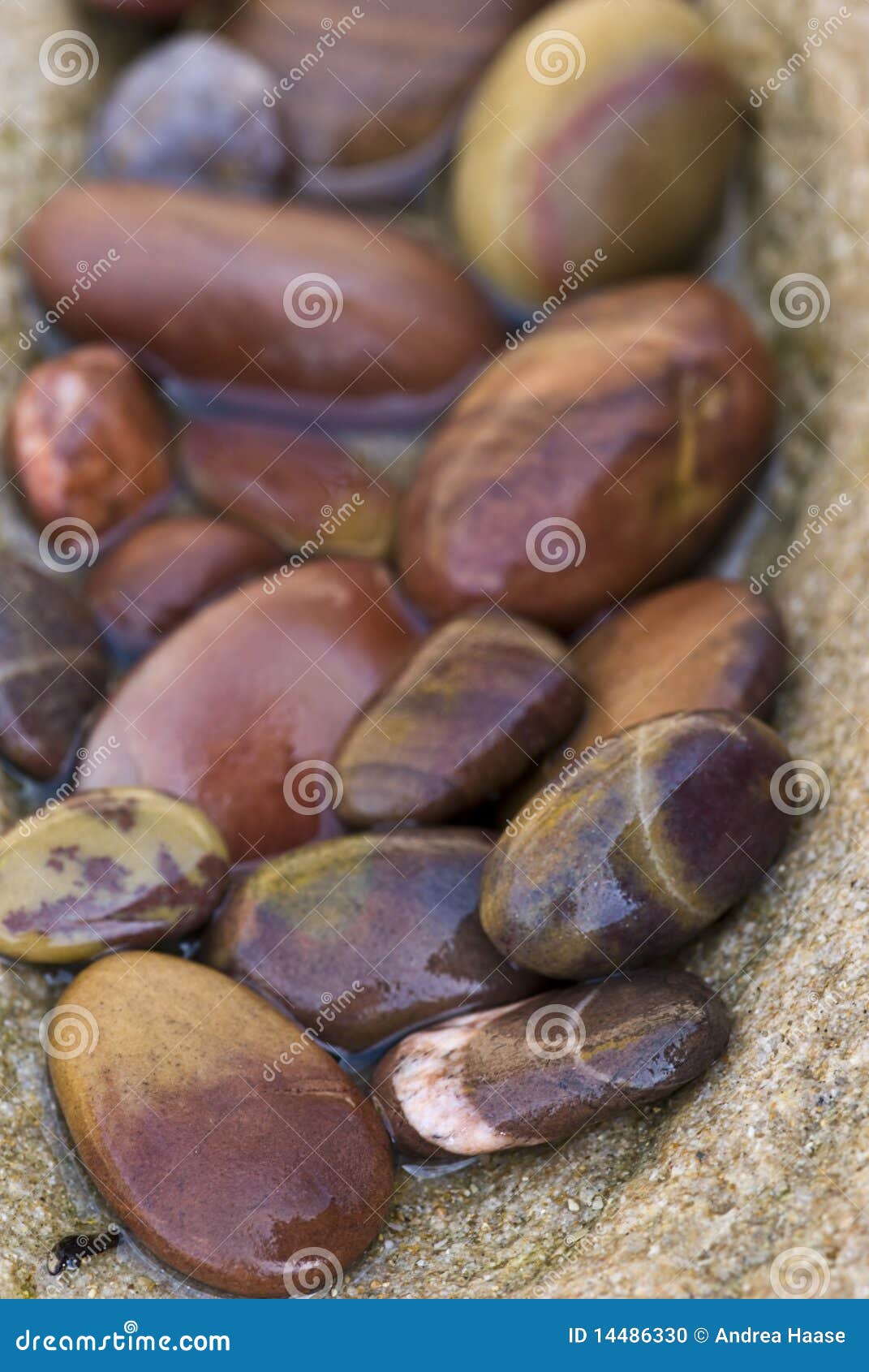 Red pebble stock photo. Image of colorful, nature, smooth - 14486330