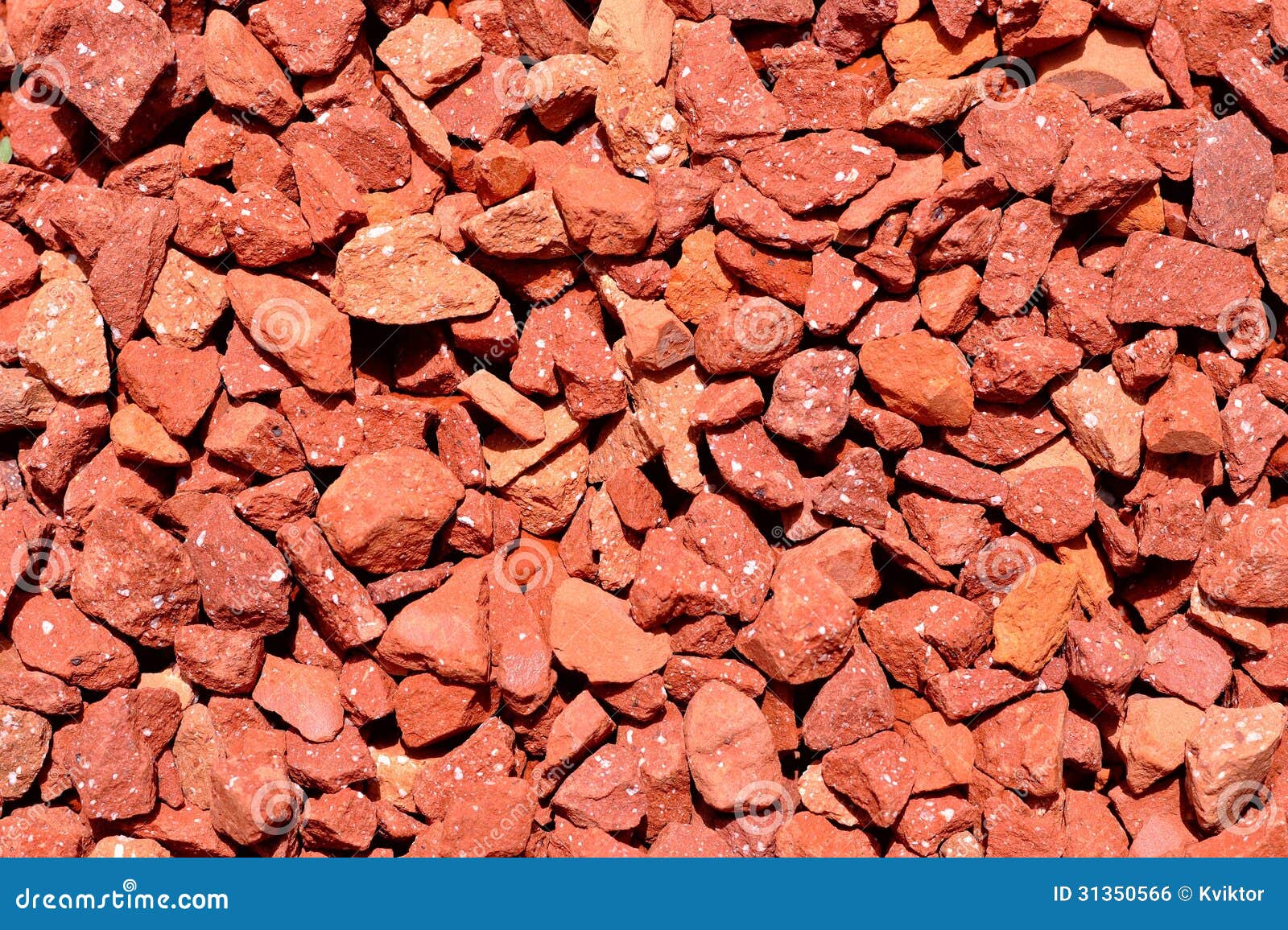 Red pebbles texture stock photo. Image of nature, diversity - 31350566